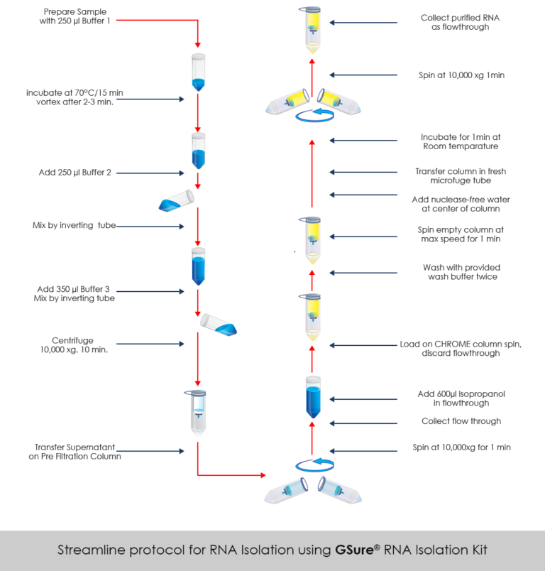 GSure® Bacterial RNA Isolation Kit