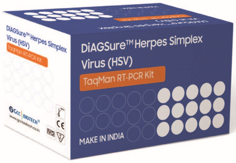 HSV-1/2 Multiplex PCR Kit